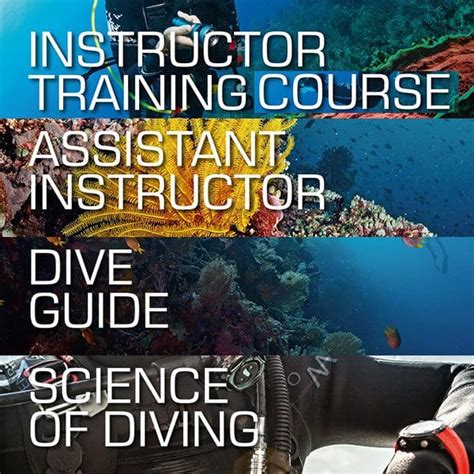Career Bundle Full Ssi Dive Pro Training Path In Lebanon Bubbles