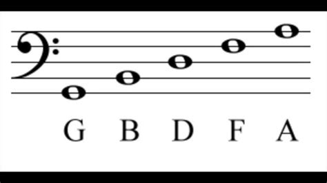 Bass Clef Notes Flashcards Quizlet