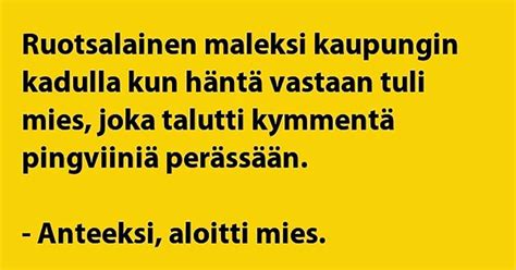 VITSIT Ruotsalainen maleksi kadulla vastaan tuli mies ja pingviiniä Kohokohta