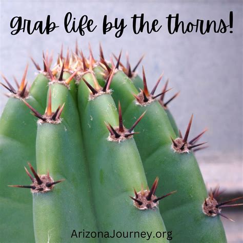 Cactus Thorn Quotes