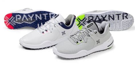 페인터골프의 한국시장 도전