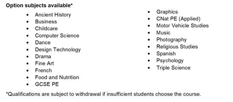 South Dartmoor Community College Year 9 Options 2022