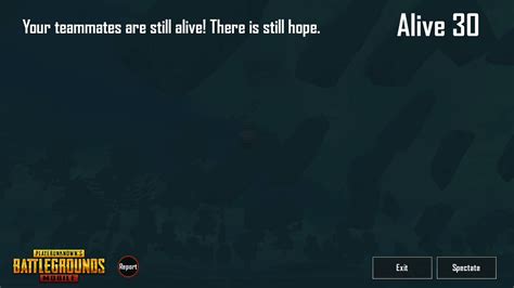 Why Is This File Not Detected Pubg Mobile