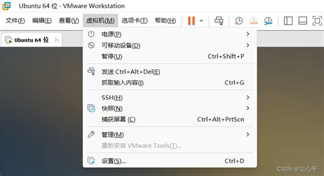 linux 安装vmware tools（open vm tools）实现桌面全屏、跨平台复制等功能 open vm tools