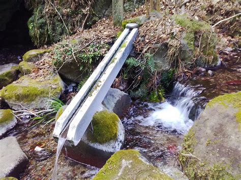 ちゅぴさんから塩原八幡宮への投稿クチコミ 栃ナビ