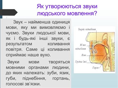звуки мови і мовлення