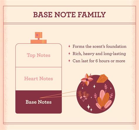 Fragrance Notes Everything You Need To Know Fragrancex In 2022