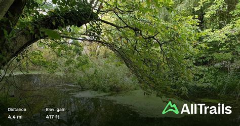 Hogsmill River Trail Ewell West Rail Station To Malden Manor Rail