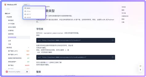 后端开发如何高效使用 Apifox？