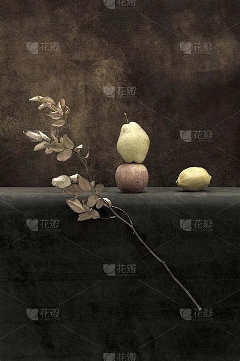 有一根树枝，一个梨，一个苹果和一个柠檬的静物画素材 花瓣网