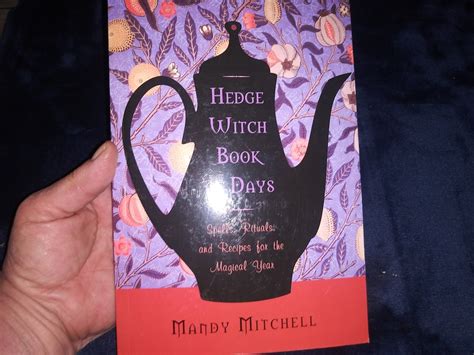 Witchy Cookbook Hedgewitch Book Of Days Spells Rituals And Recipes
