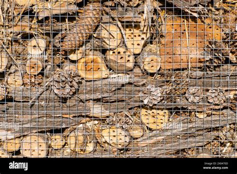 An Insect Hotel A Bug Hotel Insect House Manmade Structure Created