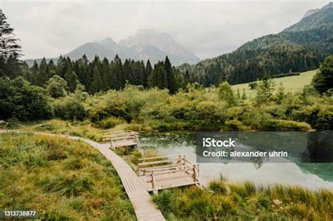 자연 보호 구역 젤렌치 크라인스카 고라 슬로베니아 유럽 젤렌치 자연 보호구역의 멋진 아침 전망 슬로베니아 여행 0명에 대한 스톡 사진 및 기타 이미지 Istock