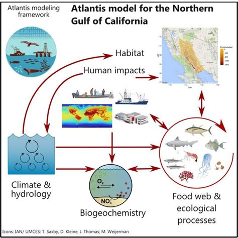 Structure Of The Atlantis Ecosystem Model For The Northern Gulf Of