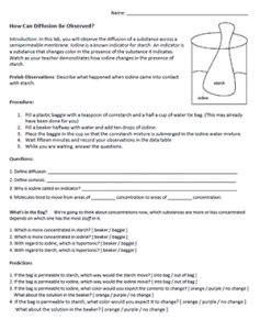Investigation How Can Diffusion Be Observed