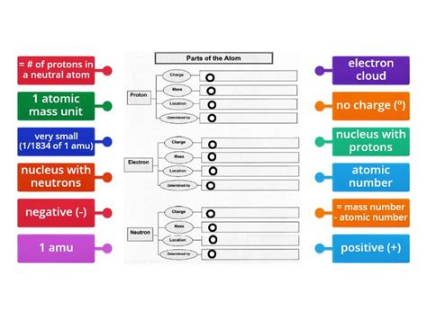 The Parts Of The Atom Labelled Diagram