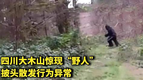 四川大木山惊现“野人”披头散发行为异常，村民亲眼目睹 Youtube