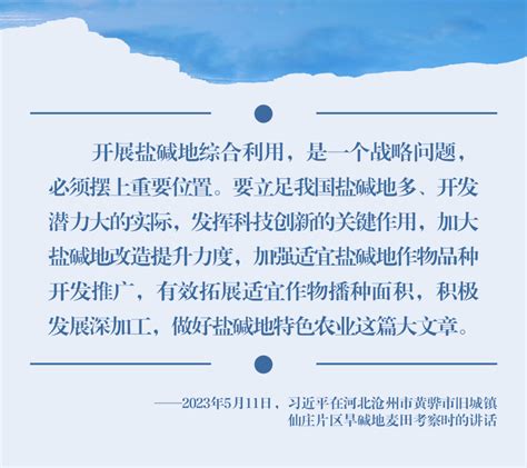镜观领航丨习近平统筹山水林田湖草沙系统治理