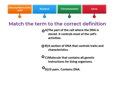 Genetics Vocab Labelled Diagram