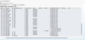 SAP User License Measurement Saptechnicalguru Com