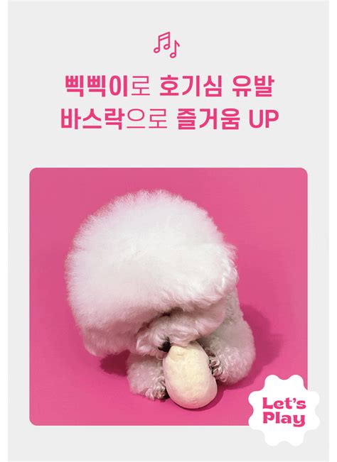 [바스키x168cm] 곰찌 장난감 반려견 강아지 고양이 애견 반려용품 장난감 올리 삑삑이 바스락 노즈워크 터그놀이