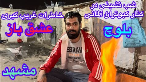 قسمت۱۳۹شب نشینی و خاطرات غریب گیری کبوتر در کنار کبوتران آلمانی عشق
