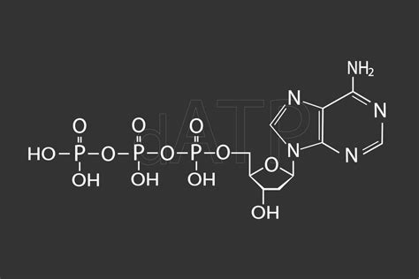 Datp Nucleotide Molecular Skeletal Chemical Formula 37076519 Vector Art At Vecteezy