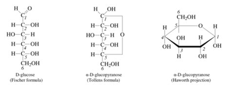 Q 21 Monosaccharides Their Structure And Properties Flashcards