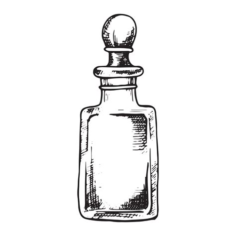 Bottles With Perfume Vector Drawing In Sketch Style Vintage