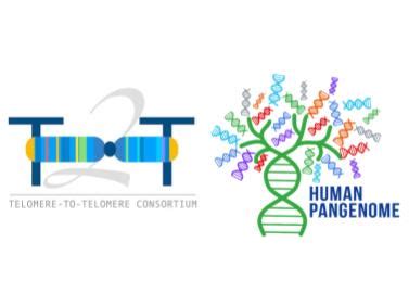 BI Genome Mappability How To Calculate It Using Umap Keun Hong