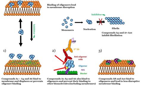Drug Repurposing Screens Identifies Compounds That Inhibit α Synuclein