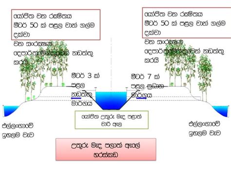 Lesson Institutional Framework Sinhala Ppt