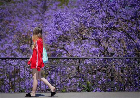 La Aemet Predice Un Otoño En Andalucía Más Cálido Y Seco De Lo Normal