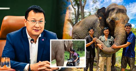 លោក ឌិត ទីណា រដ្ឋមន្រ្តីក្រសួងកសិកម្ម នឹងទទួលជួបលោក ទ្រី ស៊ីថេង ដែលជាហ្មដំរី ឡាក់គី