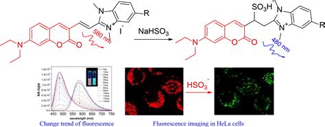 A Lysosome Specific Ratiometric Fluorescent Probe For Detection Of Bisulfite Ion Based On Hybrid