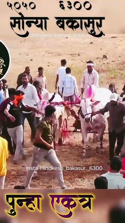 सोन्या 5050 आणि बकासुर6300 पुन्हा एकत्र 💥💯🫂 Youtube