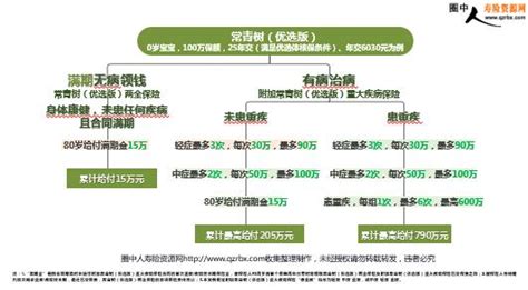 华夏人寿常青树优选版销售逻辑28页ppt圈中人寿险资源网