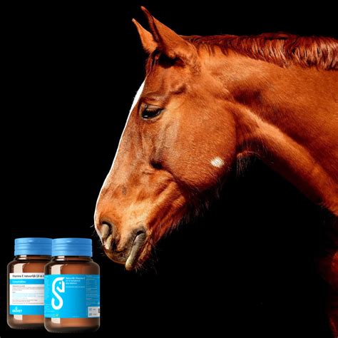 Vitamin E Selenium Softgels