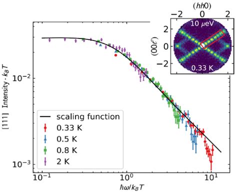 Dynamical Scaling As A Signature Of Multiple Phase Competition In A