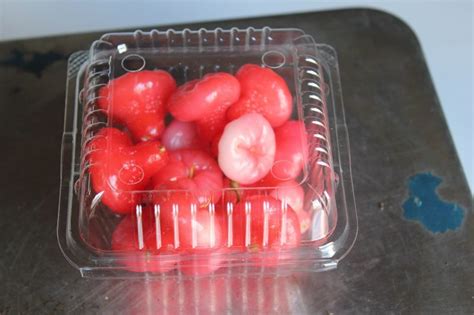 レンブ 果物好きにはお馴染みの南国フルーツ