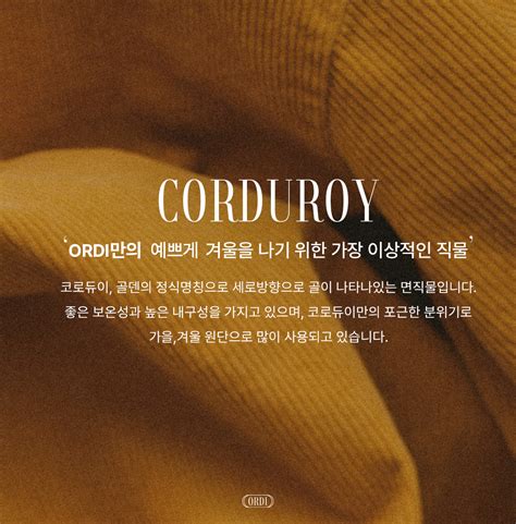 오디샵 [무료 당일출고] 셔츠 코듀로이 벨벳 플라워 잔꽃무늬 자수 블라우스 멜빵 뷔스티에 롱원피스 투피스