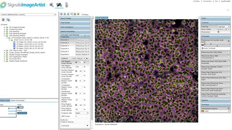 Cell Image Analysis Software Scientist Live