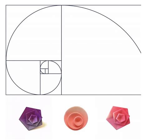 Vertigo Ring And Fibonacci Varily Jewelry Vertigo Ring And Fibonacci Varily Jewelry