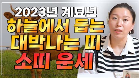 2023년 계묘년 대박띠 2023년에 금전재물 대박나는 소띠운세 61년생 73년생 85년생 97년생 나이별 운세 26세