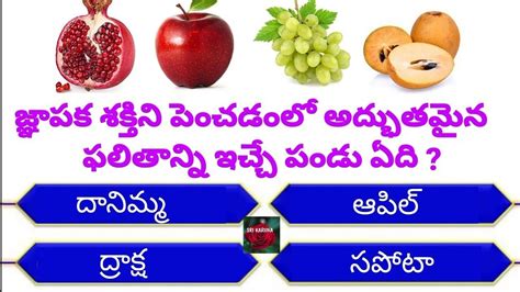 Interesting Questions In Telugu Unknown Facts General Knowledge Telugu Quiz Artofit