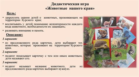 Картотека дидактических игр по ознакомлению с родным краем