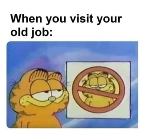35 Funny Garfield Memes That Pair Well With Lasagna September 5 2024
