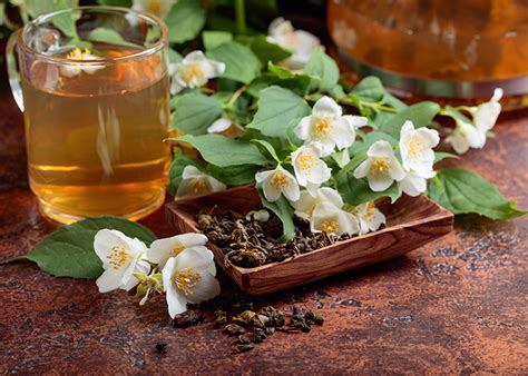8 Jasmine Tea Benefits That’ll Have You Sipping It All Day Long