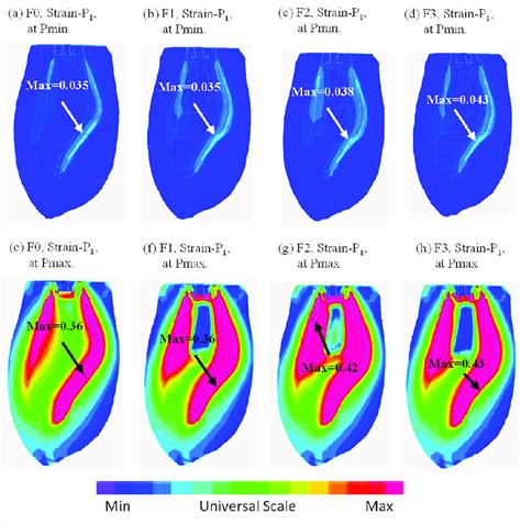 Model Comparison Strain P Distributions Obtained From The Patched