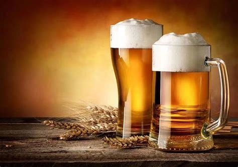 BEER啤酒指南